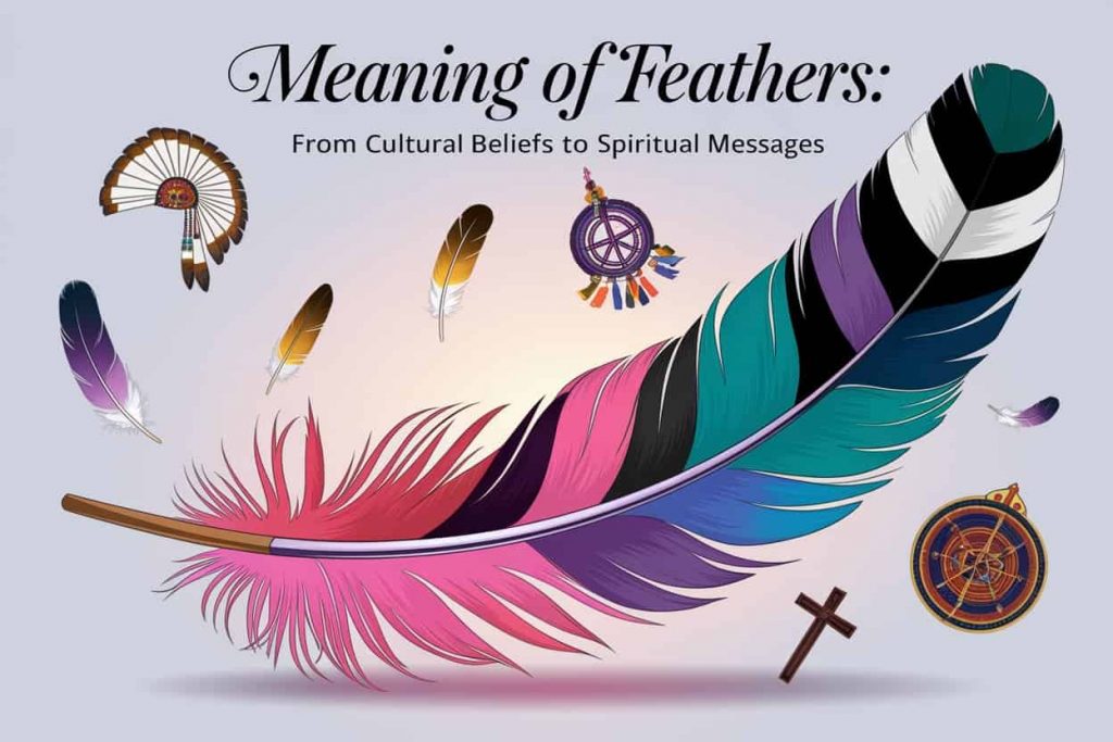 Meaning of Feathers: From Cultural Beliefs to Spiritual Messages