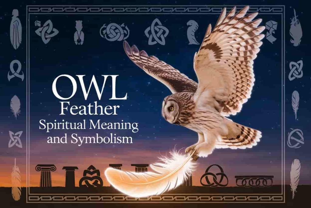 Owl Feather Spiritual Meaning and Symbolism