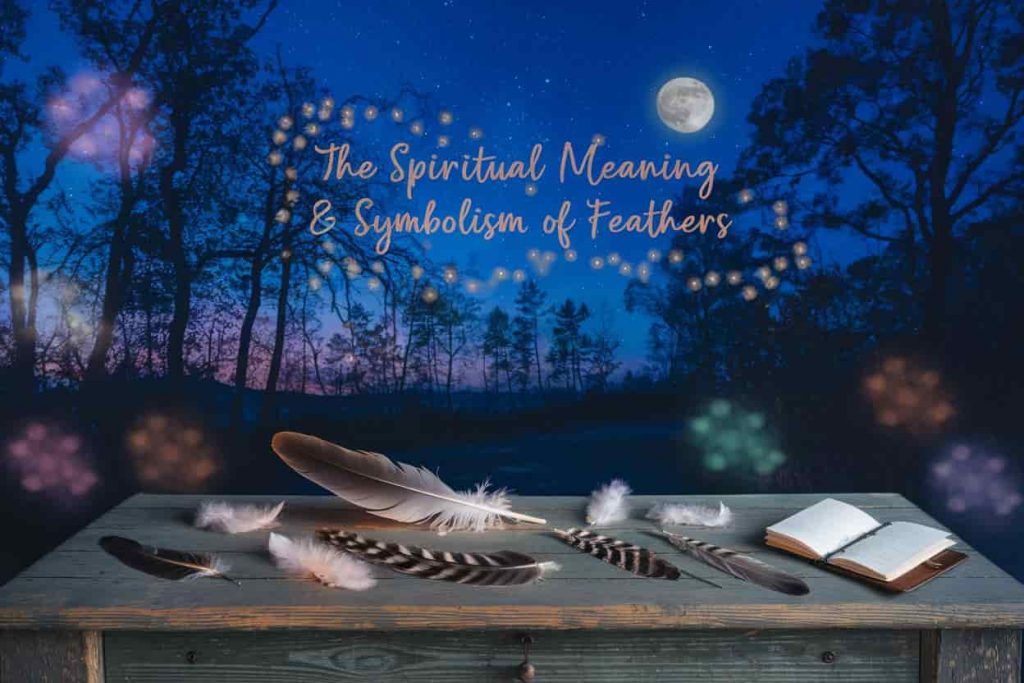 The Spiritual Meaning & Symbolism of Feathers