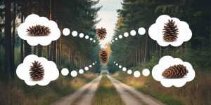 The Spiritual Meaning and Symbolism Of Pine Cones