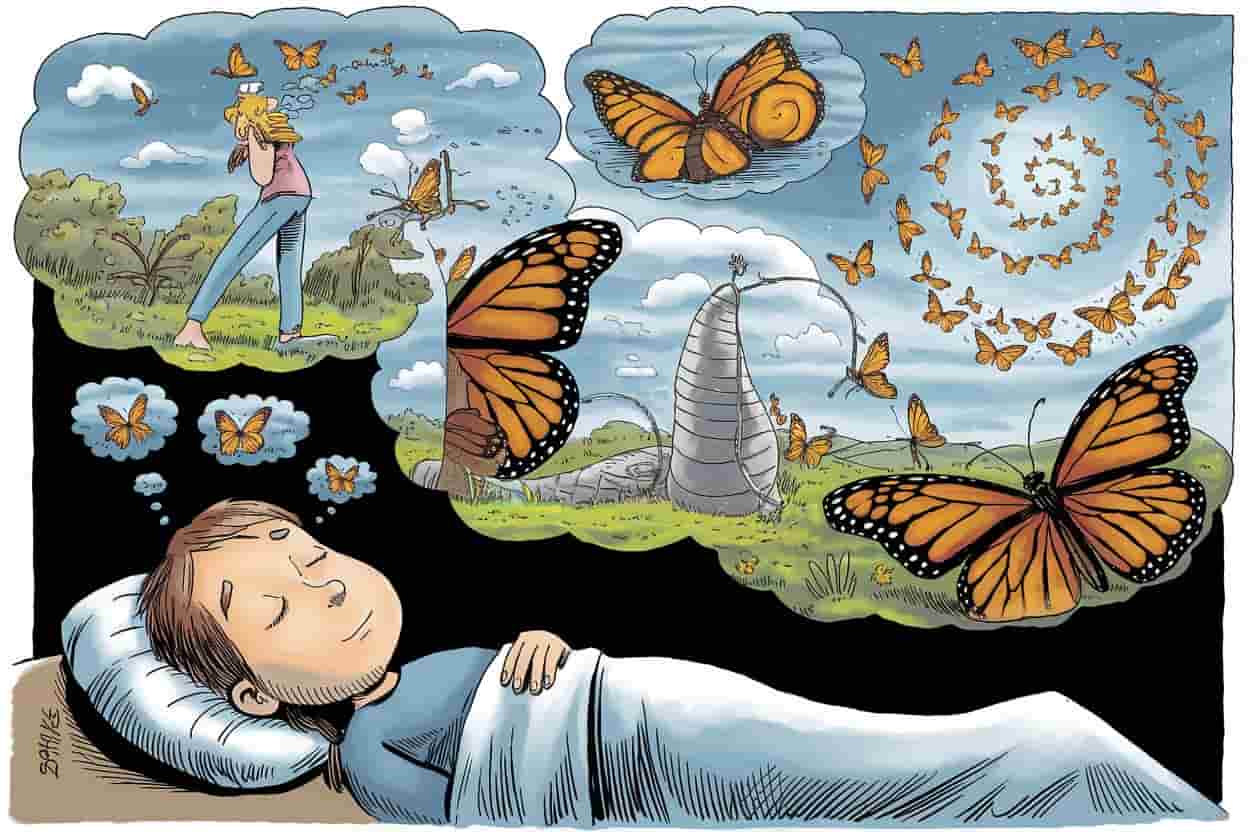 Monarch Butterfly Spiritual Meaning & Symbolism