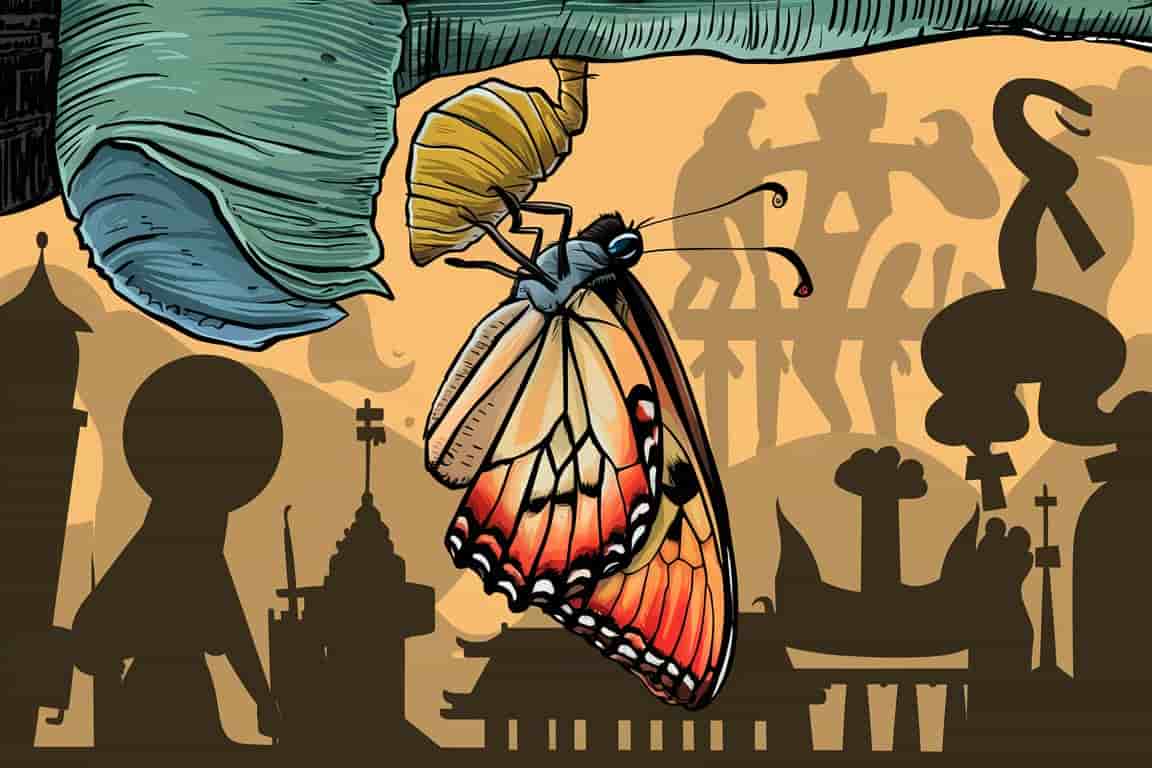 Spiritual Meaning of Butterfly Colors and Symbolism