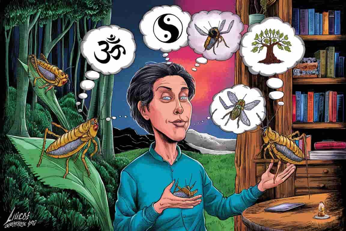 Katydid Spiritual Meaning: Secrets of Insect Wisdom