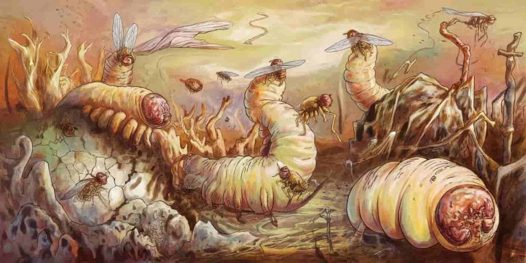 Spiritual Meaning and Symbolism of Maggots: Lessons and Messages