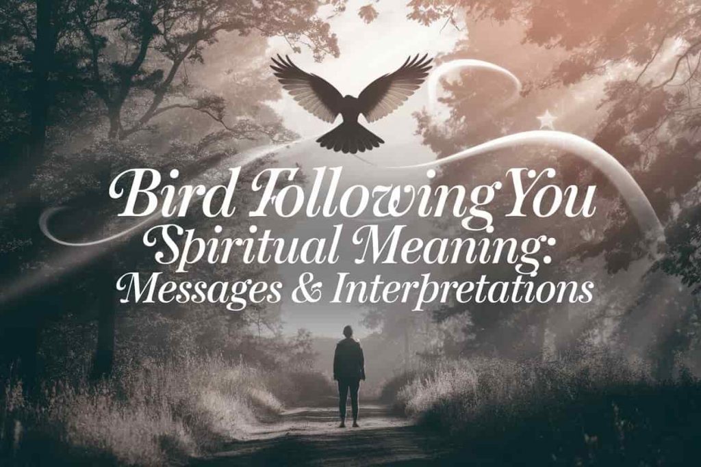 Bird Following You Spiritual Meaning: Messages & Interpretations