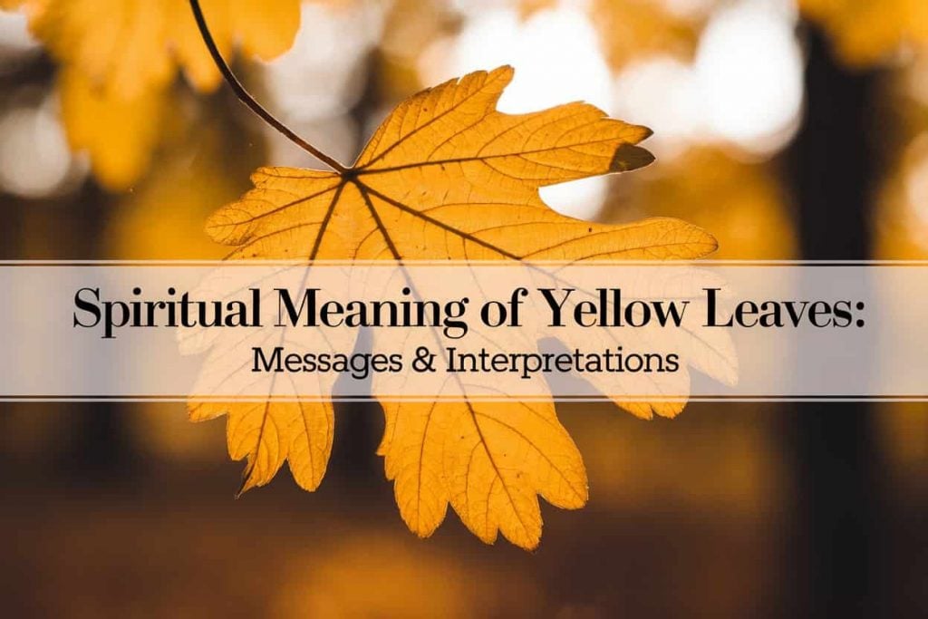 Spiritual Meaning of Yellow Leaves: Messages & Interpretations