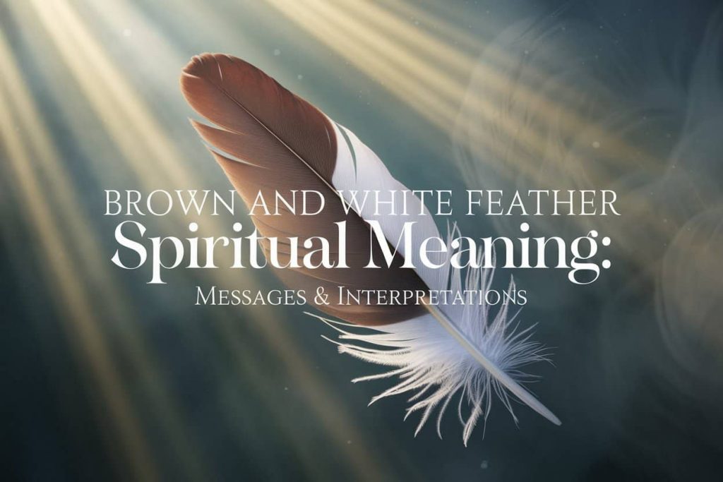 Brown and White Feather Spiritual Meaning: Messages & Interpretations