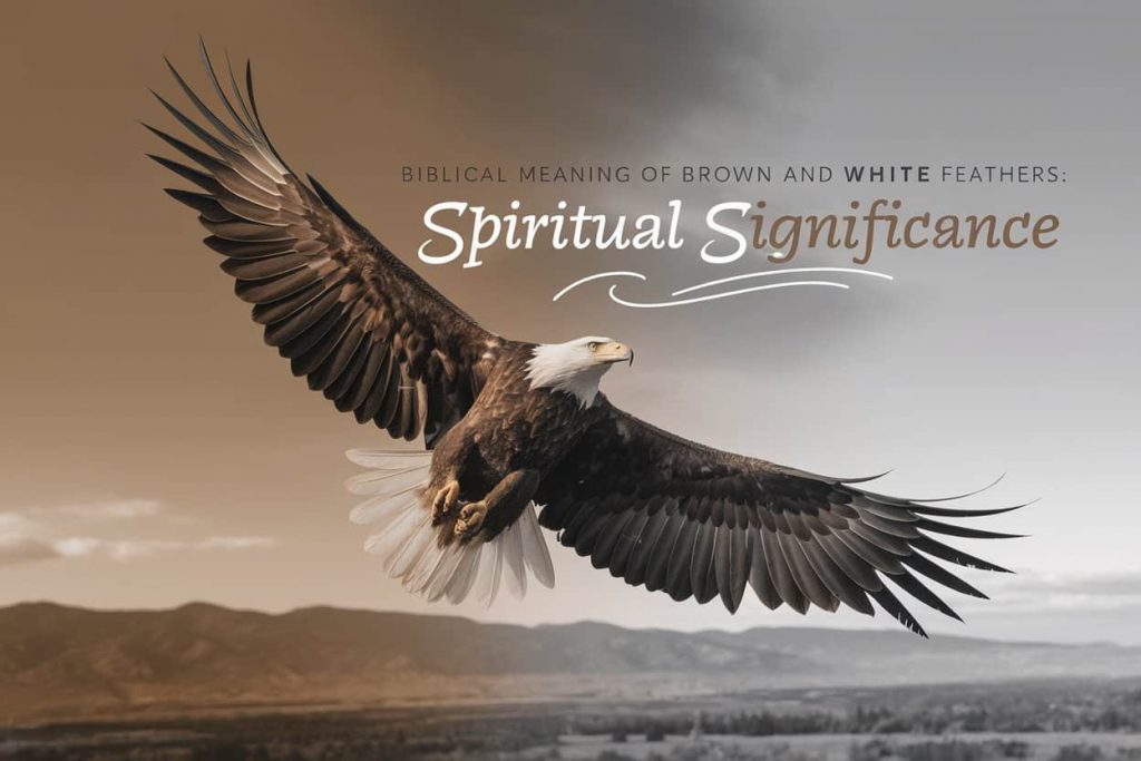 Biblical Meaning of Brown and White Feathers: Spiritual Significance