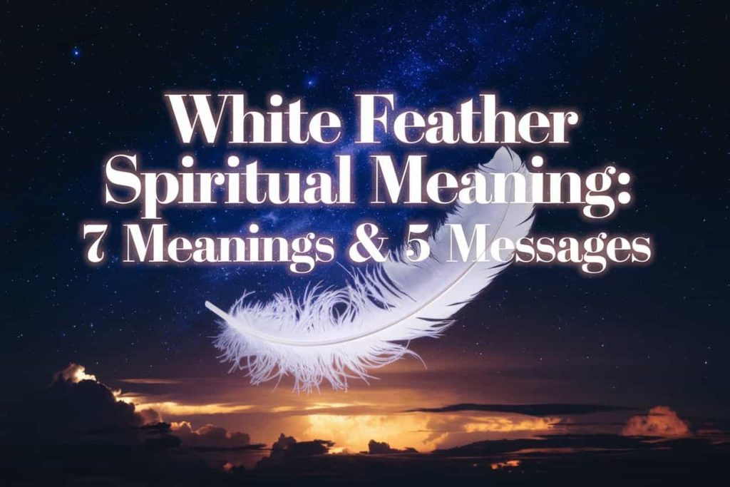 White Feather Spiritual Meaning: 7 Meanings & 5 Messages