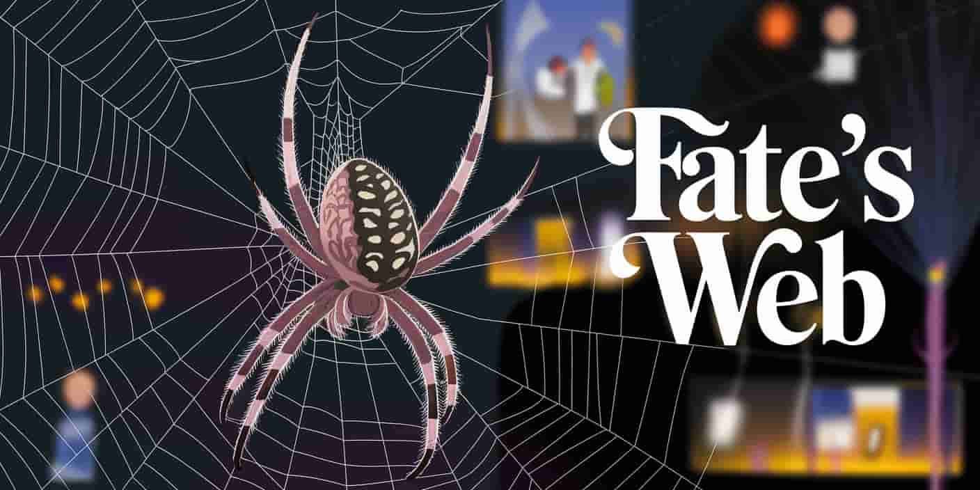Seeing a Spider at Night Spiritual Meaning: Symbolism & Lesson