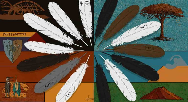 The Spiritual Meaning of Finding Feathers on the Ground