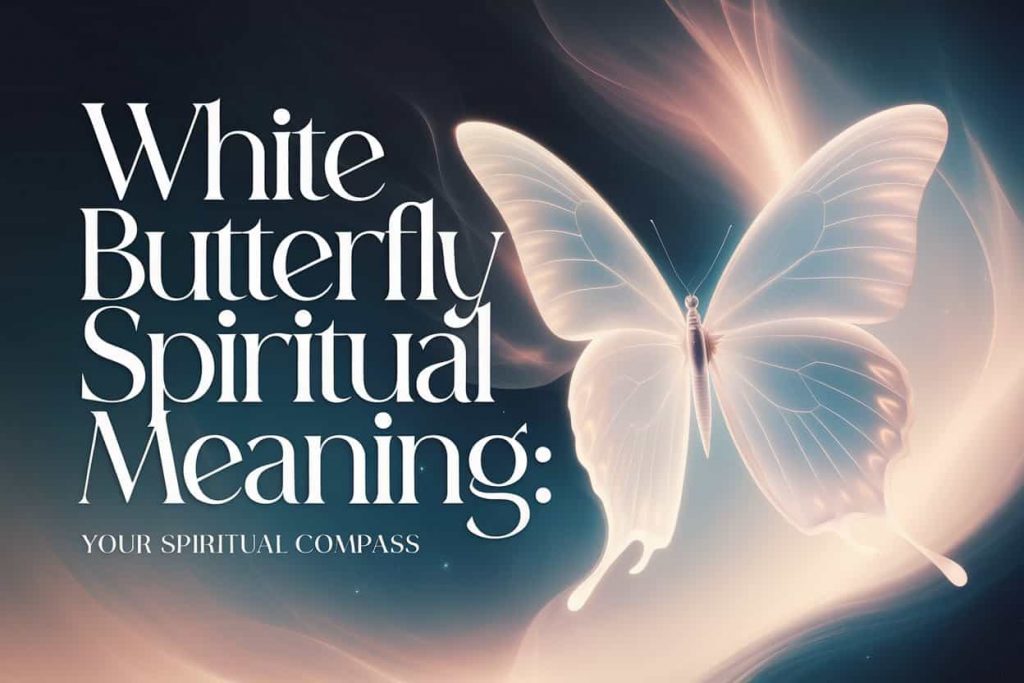White Butterfly Spiritual Meaning: Your Spiritual Compass