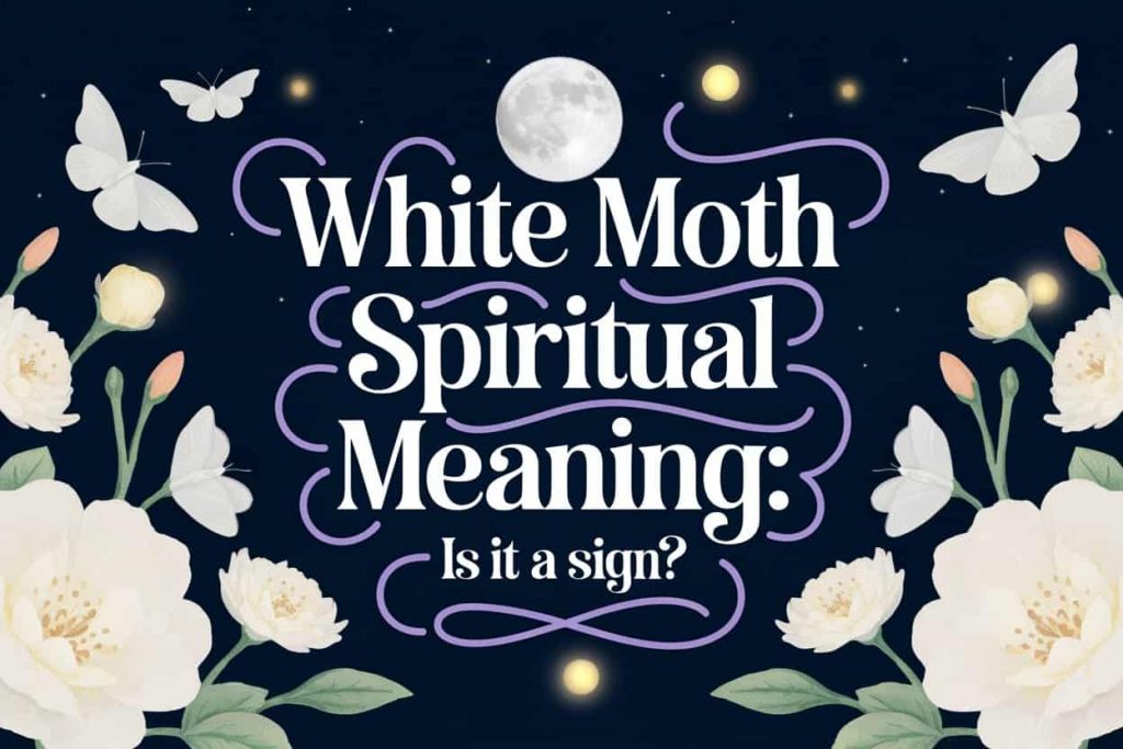 White Moth Spiritual Meaning: Is it a Sign?